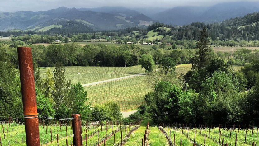 Global Wine Producers & Varietals | T. Edward Wines & Spirits | T ...