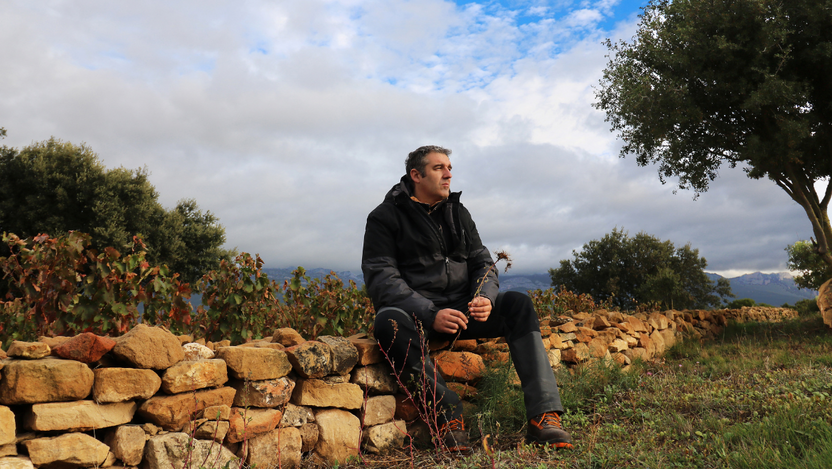 Global Wine Producers & Varietals | T. Edward Wines & Spirits | T ...