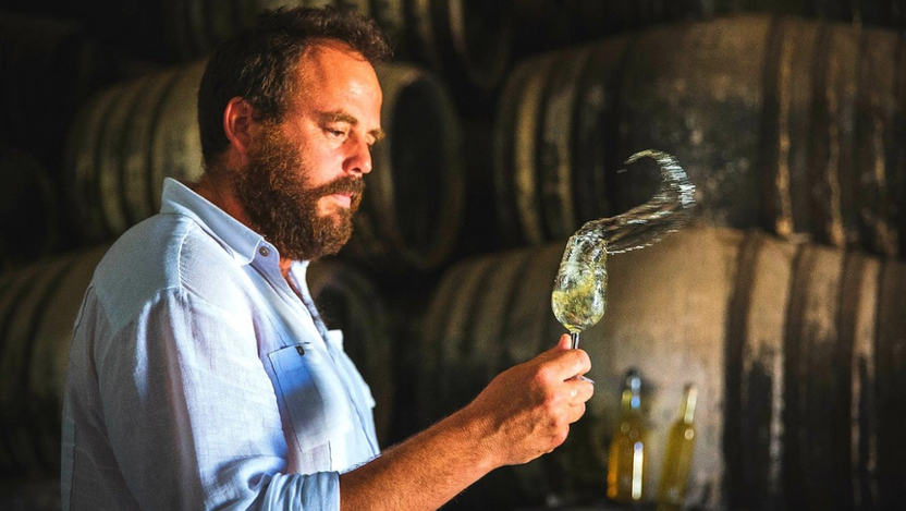 Global Wine Producers & Varietals | T. Edward Wines & Spirits | T ...