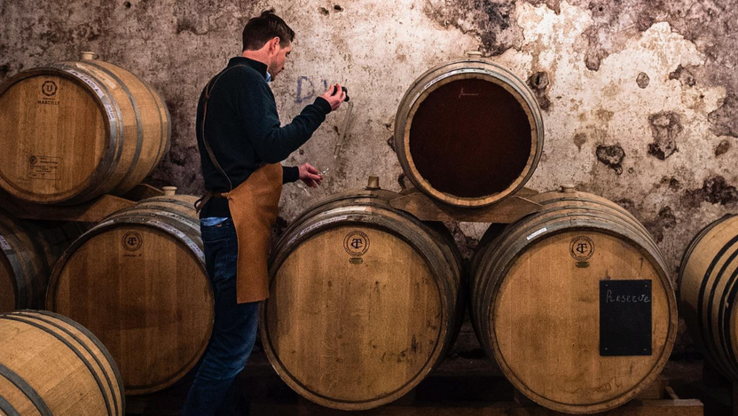 Global Wine Producers And Varietals T Edward Wines And Spirits T