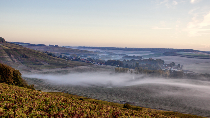 Global Wine Producers & Varietals | T. Edward Wines & Spirits | T ...