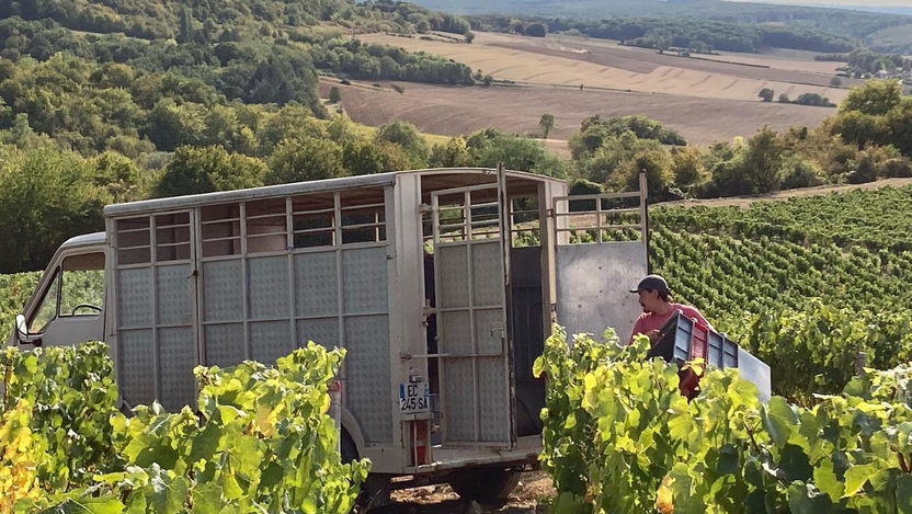 Global Wine Producers And Varietals T Edward Wines And Spirits T