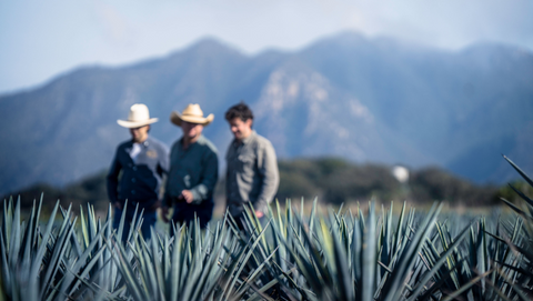 Tequila Arette | T. Edward Wines & Spirits