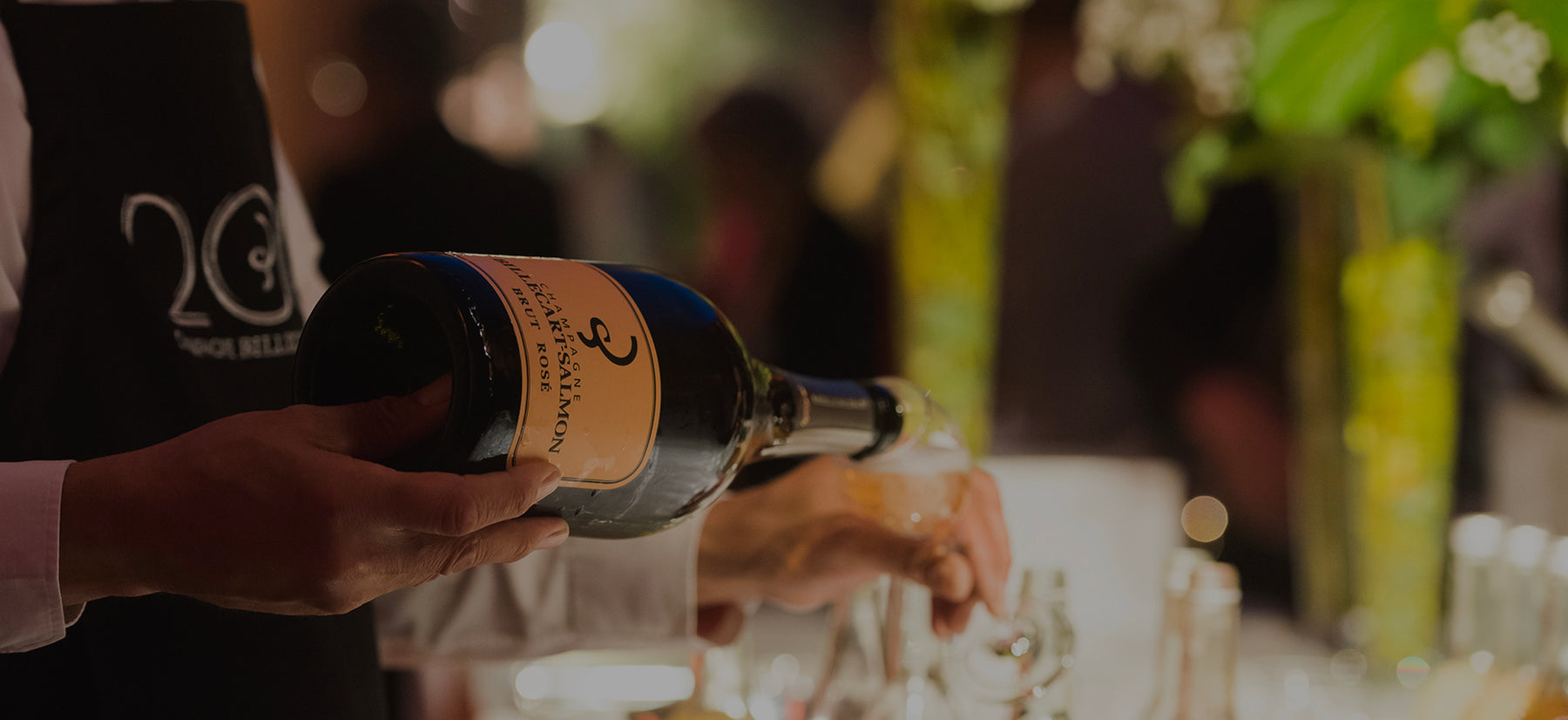 Welcome to T. Edward | Portfolio of the Finest Wines & Spirits