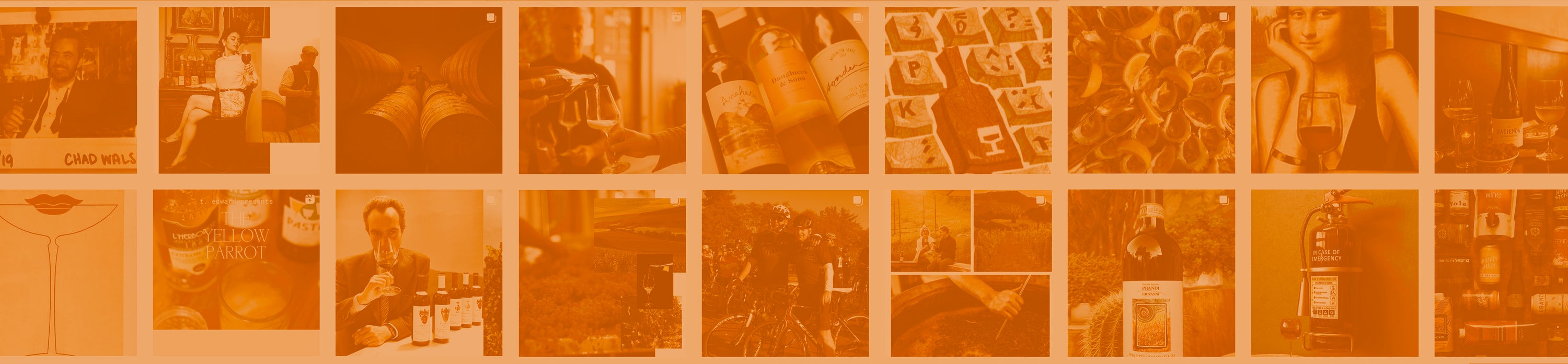 Welcome to T. Edward | Portfolio of the Finest Wines & Spirits