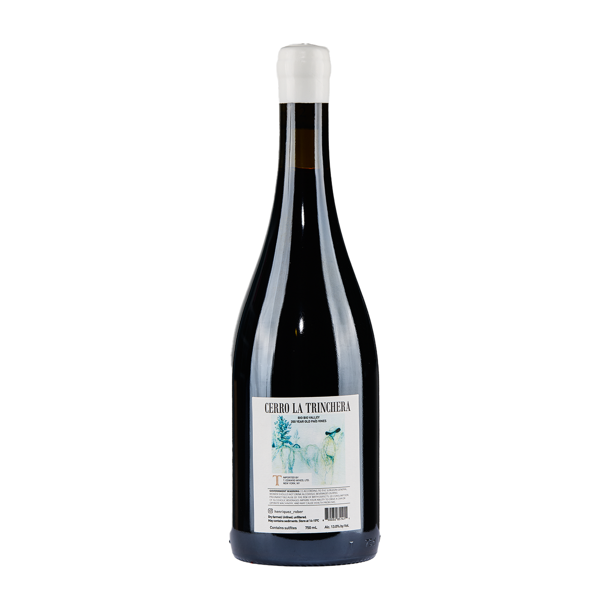 Roberto Henriquez Cerro La Trinchera Viticole | T. Edward Wines & Spirits